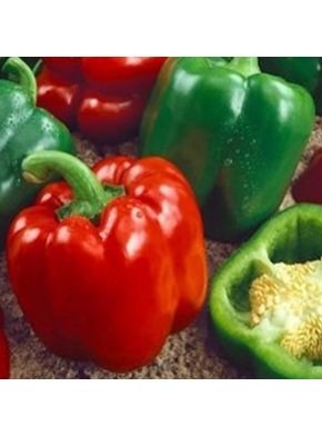 Pepper Plant Seeds in Seed Gardening - Walmart.com