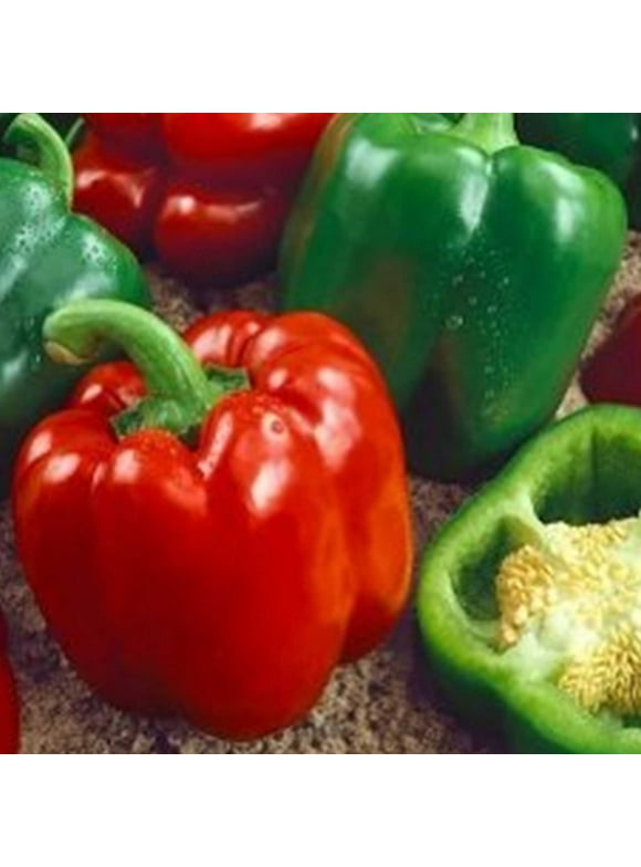 Pepper Plant Seeds in Seed Gardening - Walmart.com
