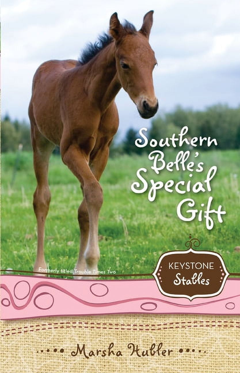 Keystone Stables Southern Belle's Special Gift: 3, (Paperback ...