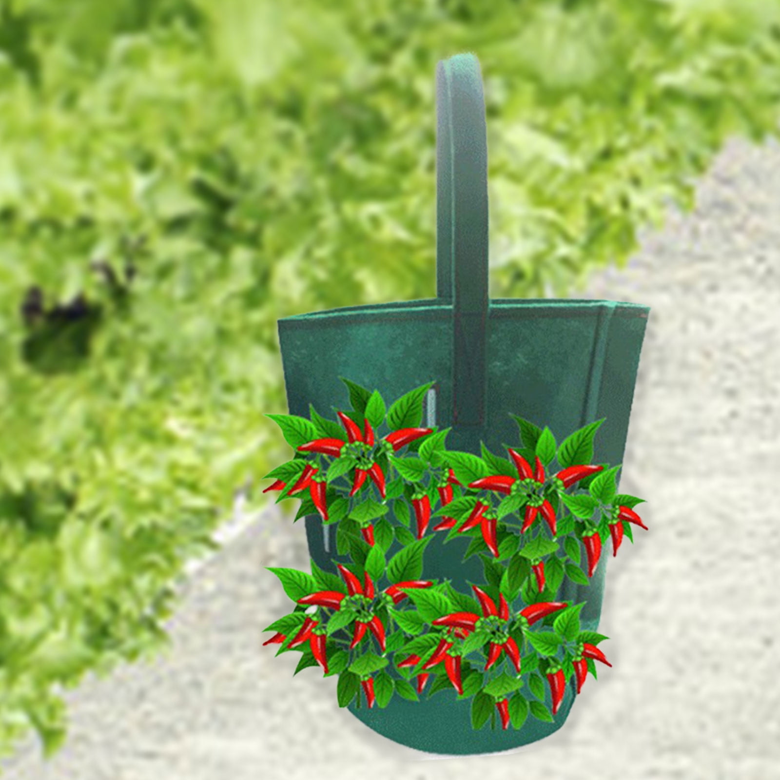 Kezqiaxn Small Strawberry Planter Clearance, 5 Gallon Hanging Grow Bags ...