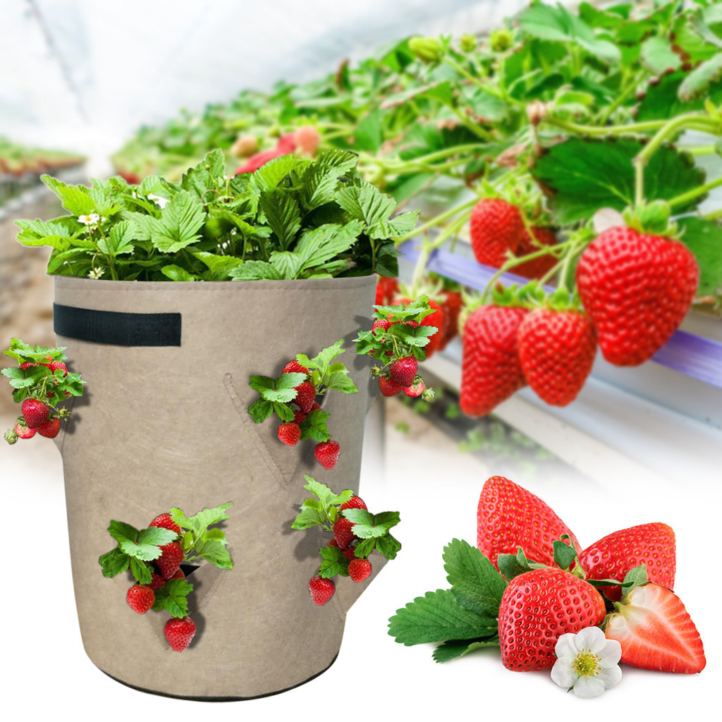 Kezqiaxn Strawberry Planter Clearance, 10 Gallon Hanging Grow Bags for ...