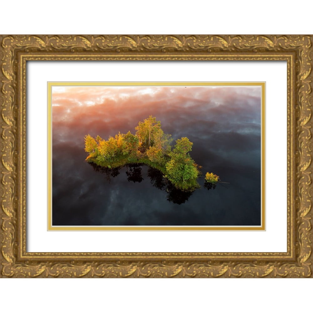 Kharitonov, Alexey 14x11 Gold Ornate Wood Framed with Double Matting ...