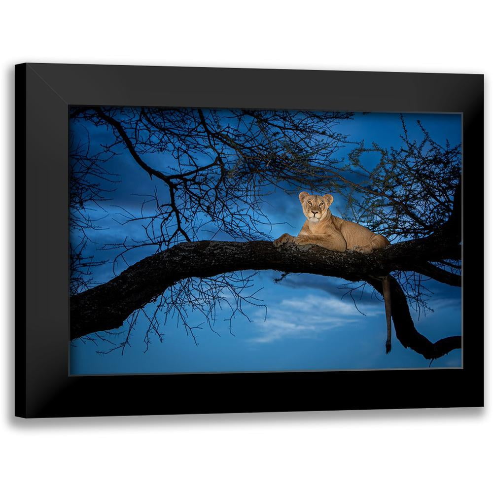 Khataw, Ali 24x17 Black Modern Framed Museum Art Print Titled - Her ...