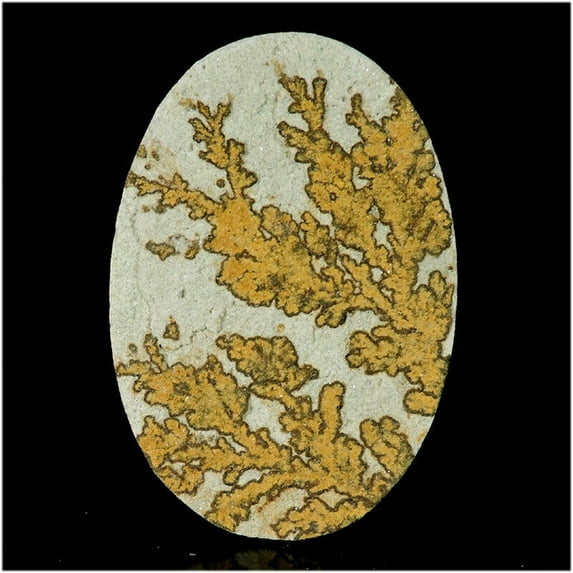 Khushi Gems 68.25ct Natural Russian Dendritic Opal Oval Loose Gemstone ...
