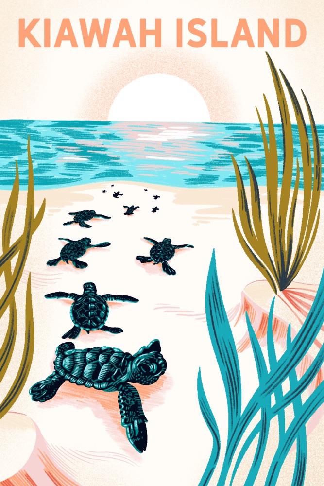 Kiawah Island, South Carolina, Courageous Explorer, Turtles on Beach ...