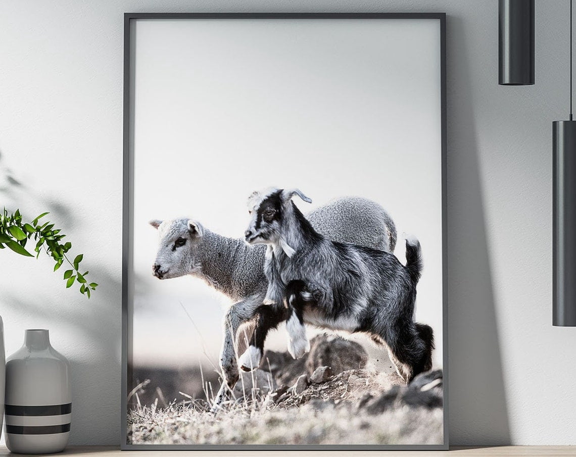 Kid And Lamb Poster, Poster, Poster Print, Wall Decor, Kid, Lamb ...