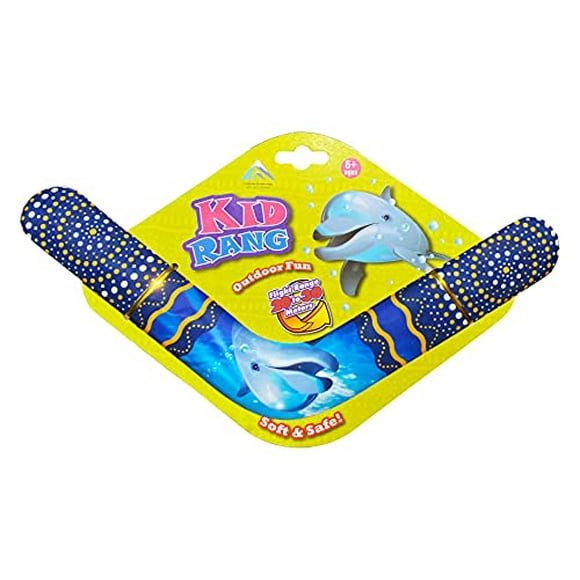 Boomerang Toy