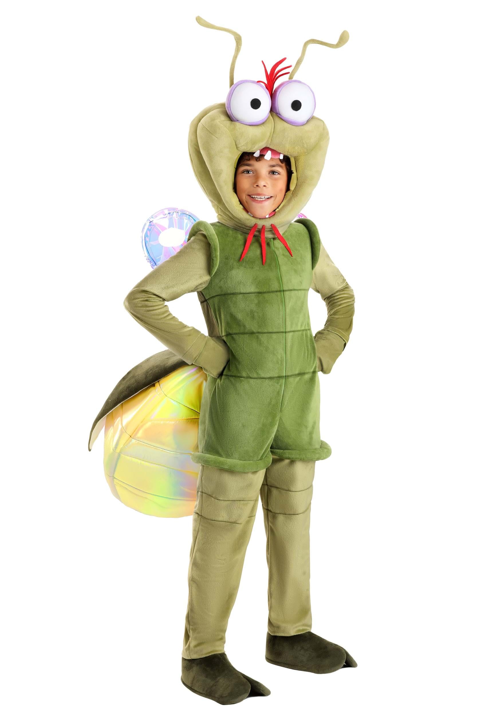 Kid's Deluxe Disney Princess and the Frog Ray Costume - Walmart.com