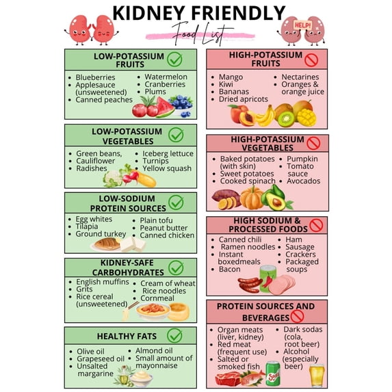 Kidney Diet and Kidney Friendly Food List Poster Kidney Health Food ...