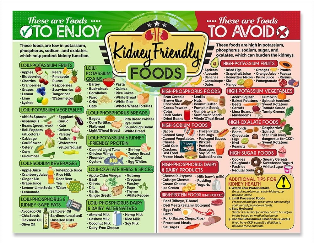 Kidney-Friendly Diet Chart Poster Low Sodium and Low Potassium Food ...