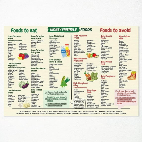 Kidney Friendly Food List Chart Poster , Kidney Awareness Diet Meal ...