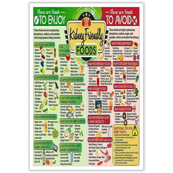 Kidney-Friendly Foods Poster Visual Renal Diet Chart Health Food ...