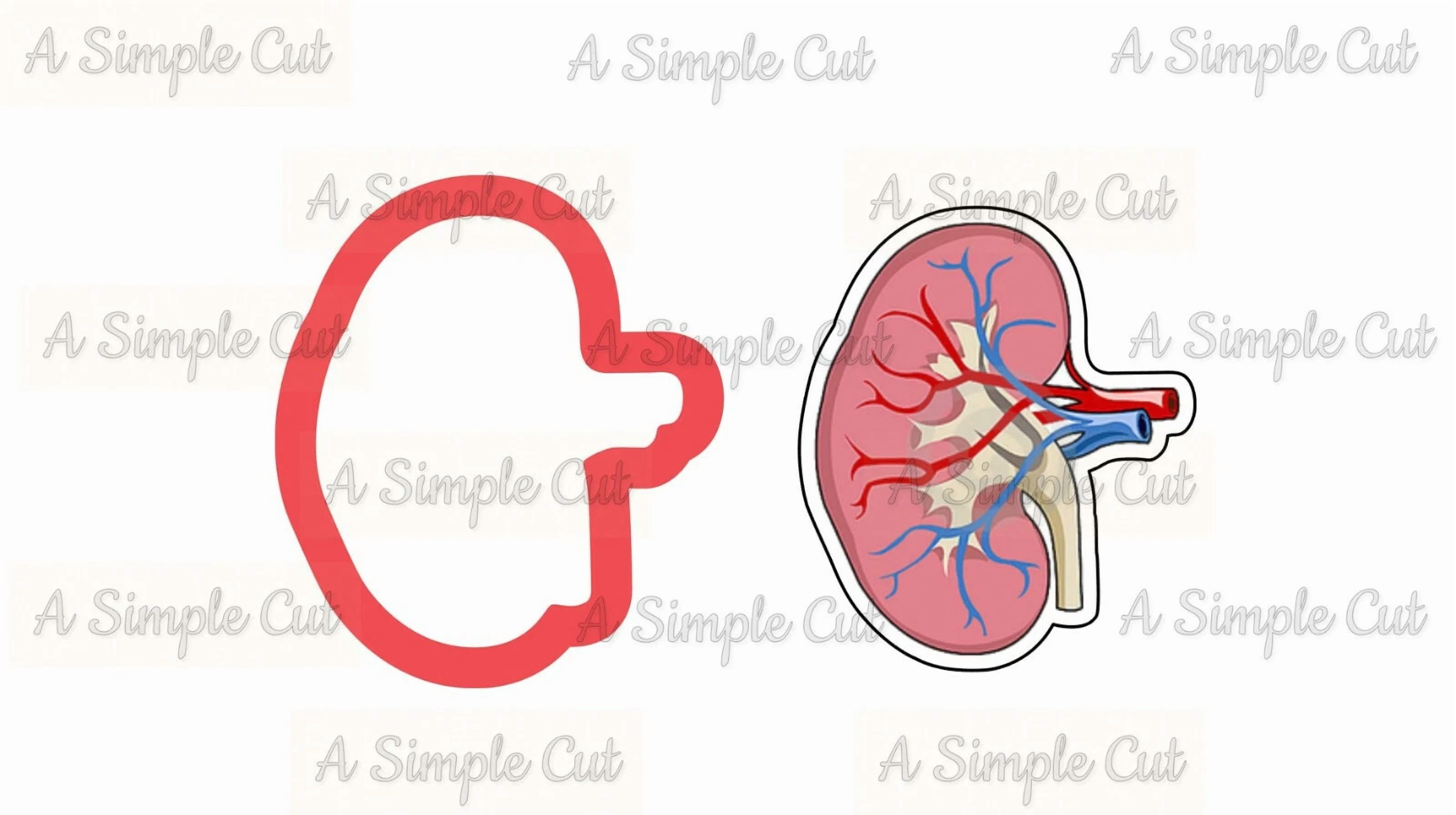 Kidney Shape Cookie Cutter - Walmart.com
