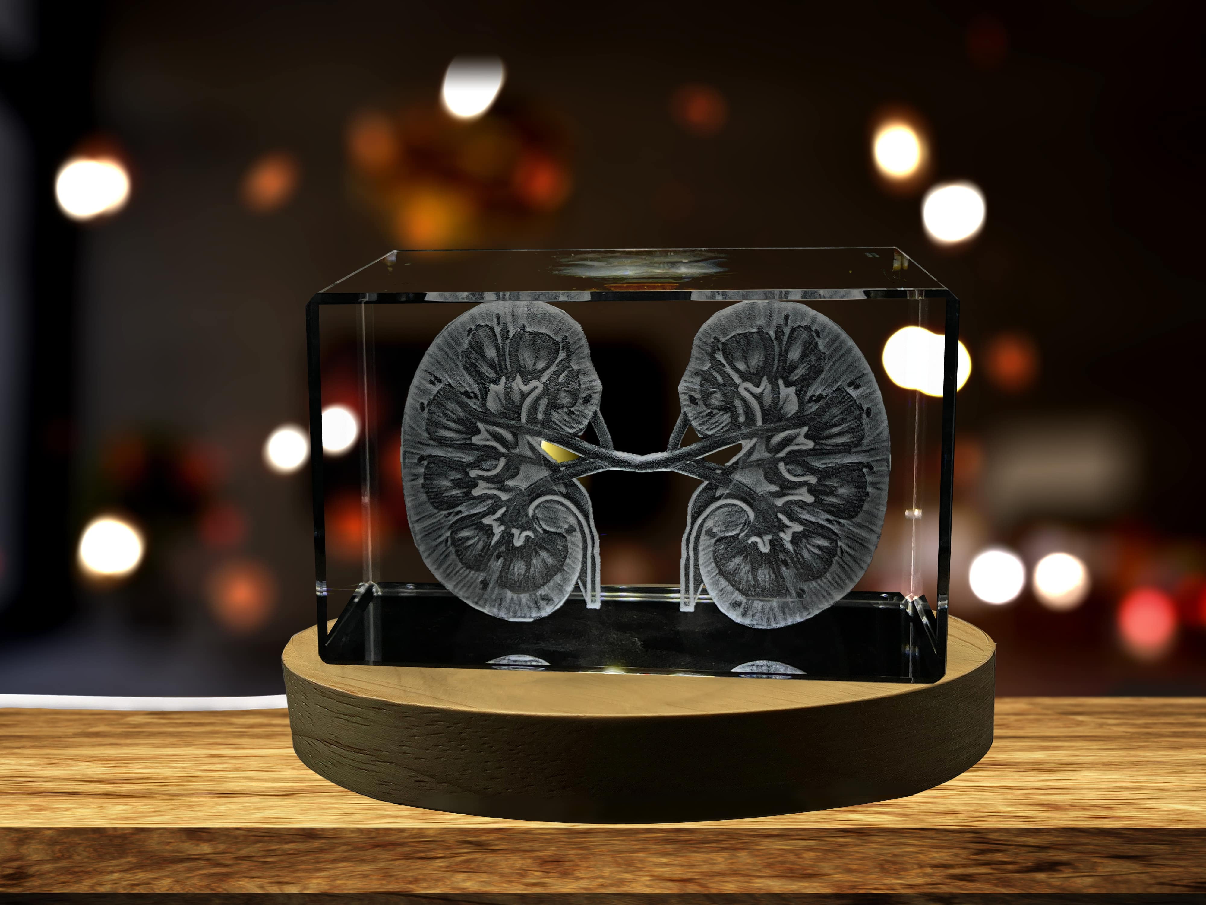 Kidneys | 3D Engraved Crystal Keepsake | Gift/Decor | Collectible ...