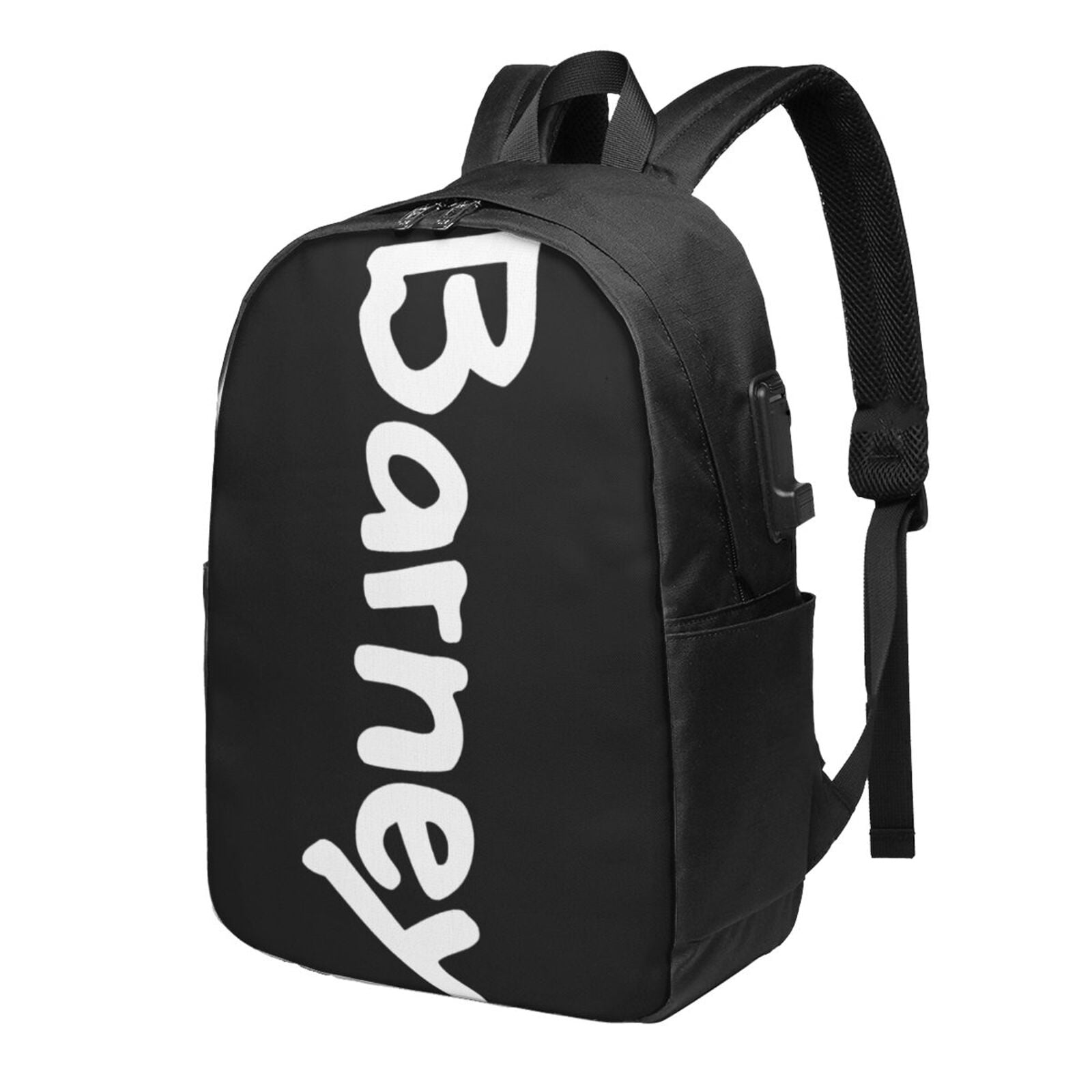 Barney and Friends Backpack Bookbags with USB Charging Port Bag Daily ...