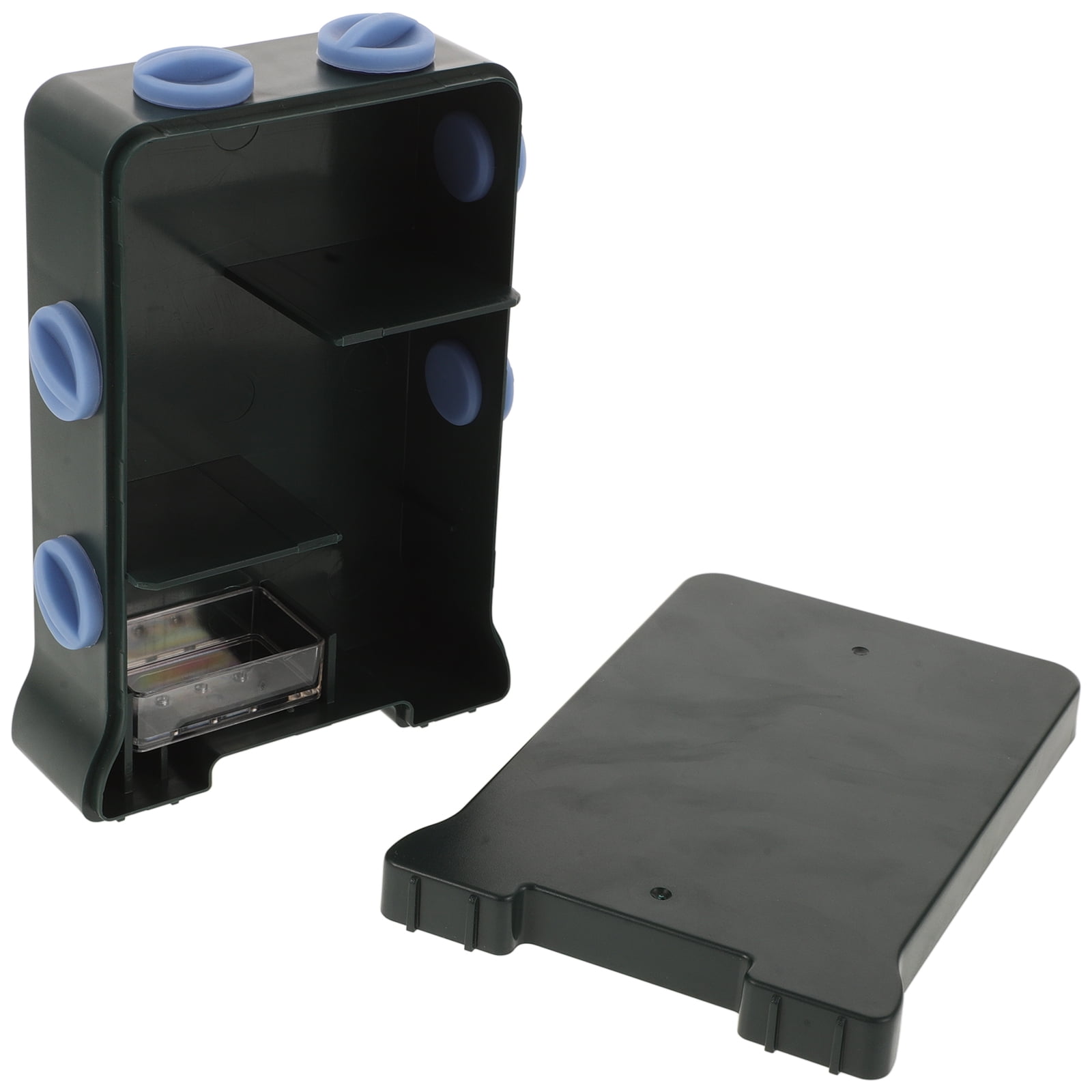 Kids Biology Learning Science Toy Plant Growth Observation Lucipetal ...