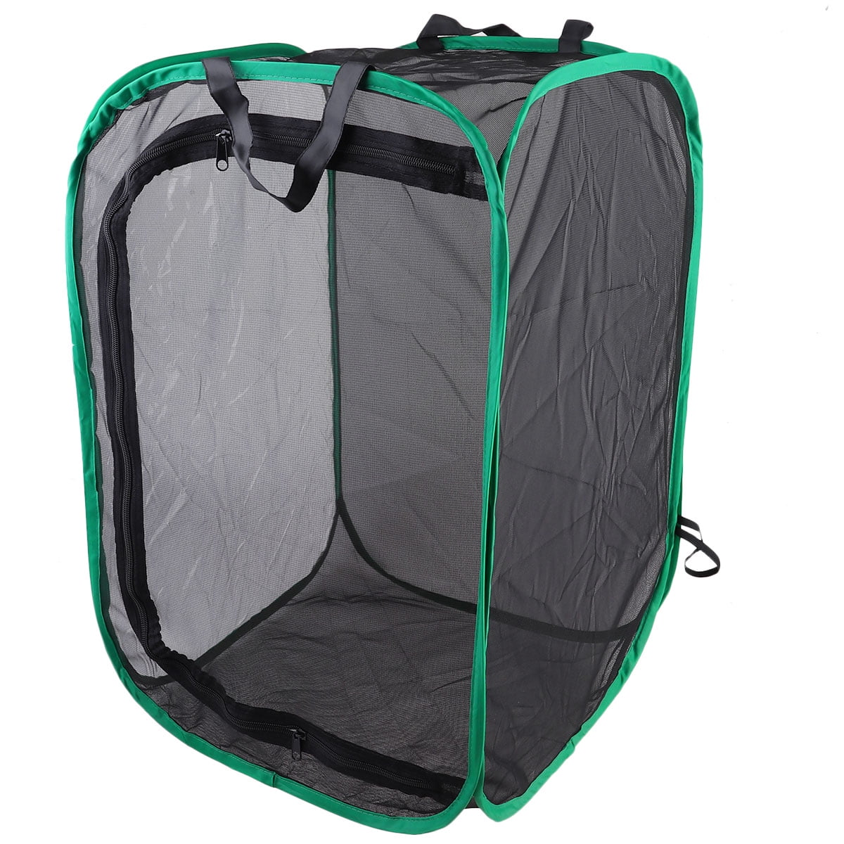 Bug Terrarium Caterpillars to Butterflies Kit Cages Plant Foldable ...