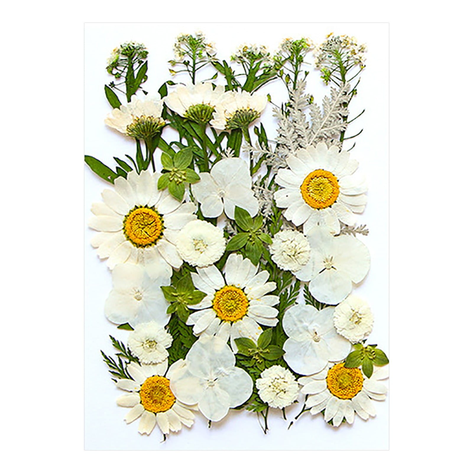 Kids Craft Kits Dried and Embossed Flowers for Resin Kit Candles and ...