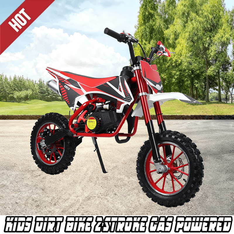 Kids Dirt Bike, 49cc 2-Stroke Motocross Bike, Gas Power Off Road Mini Motorcycle for Kids ...