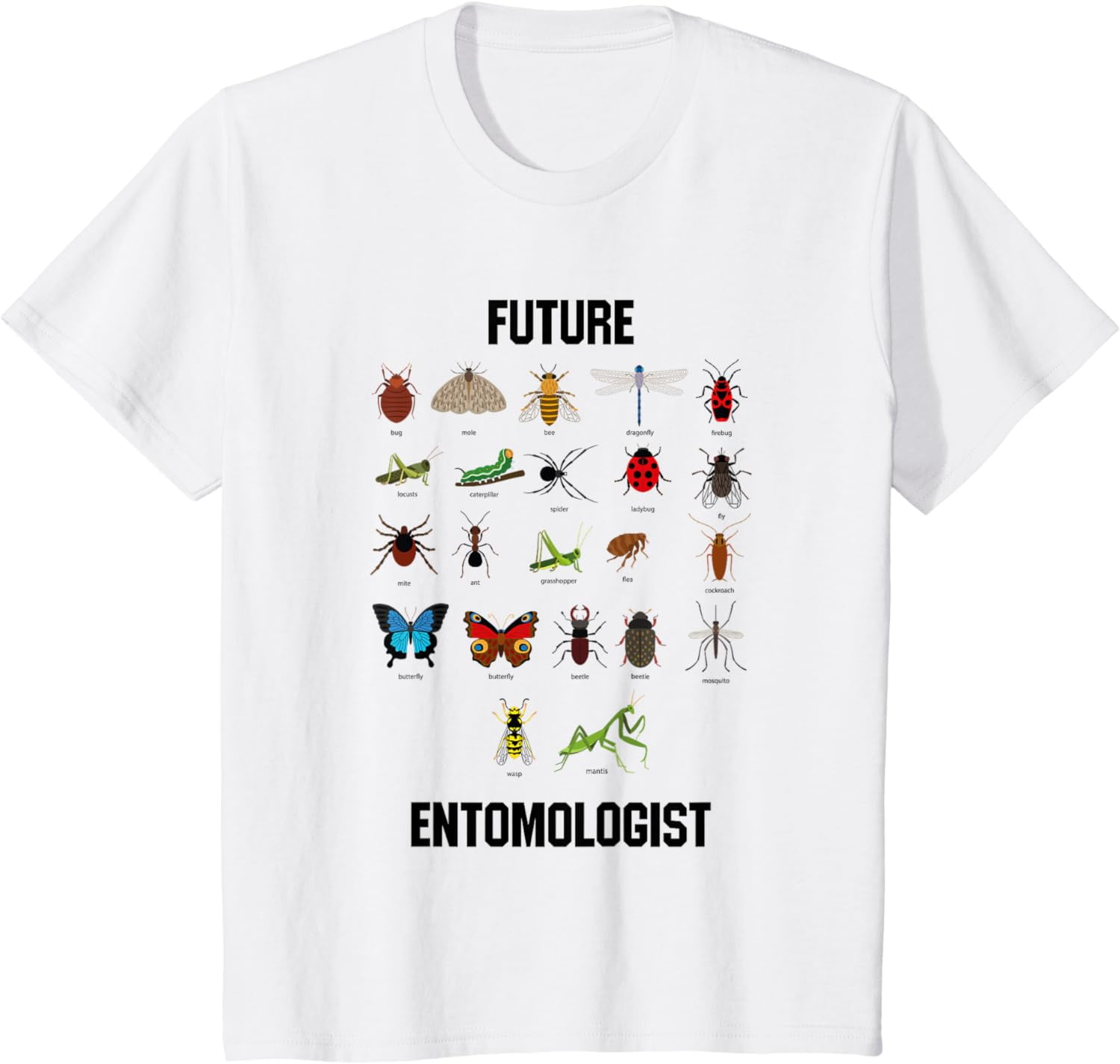 Kids Future Entomologist Shirt Insect Chart Tee - Walmart.com