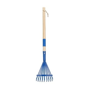 Kids Rake