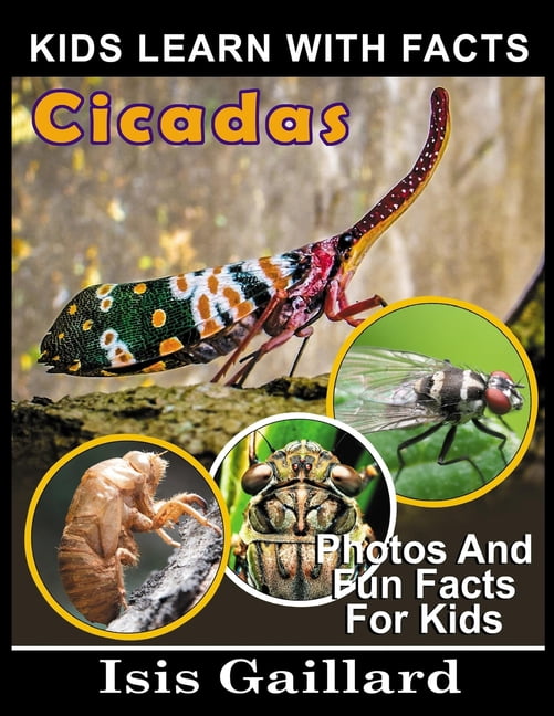 Kids Learn with Pictures Cicadas: Photos and Fun Facts for Kids, Book ...