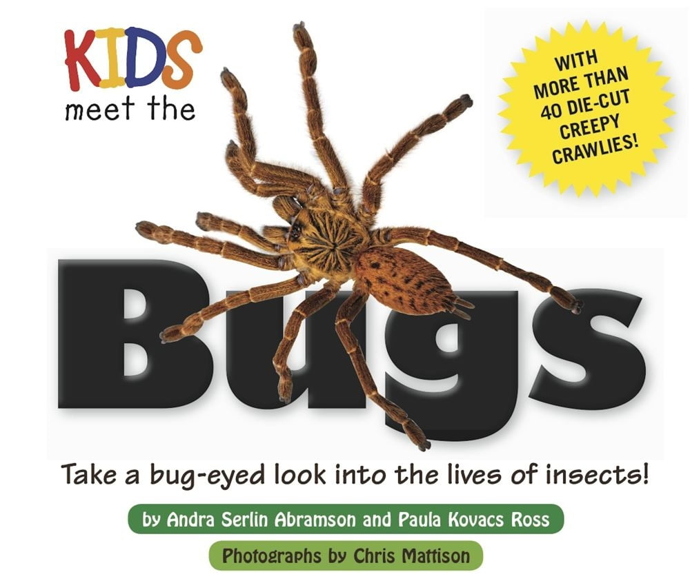 Kids Meet the Bugs - Walmart.com