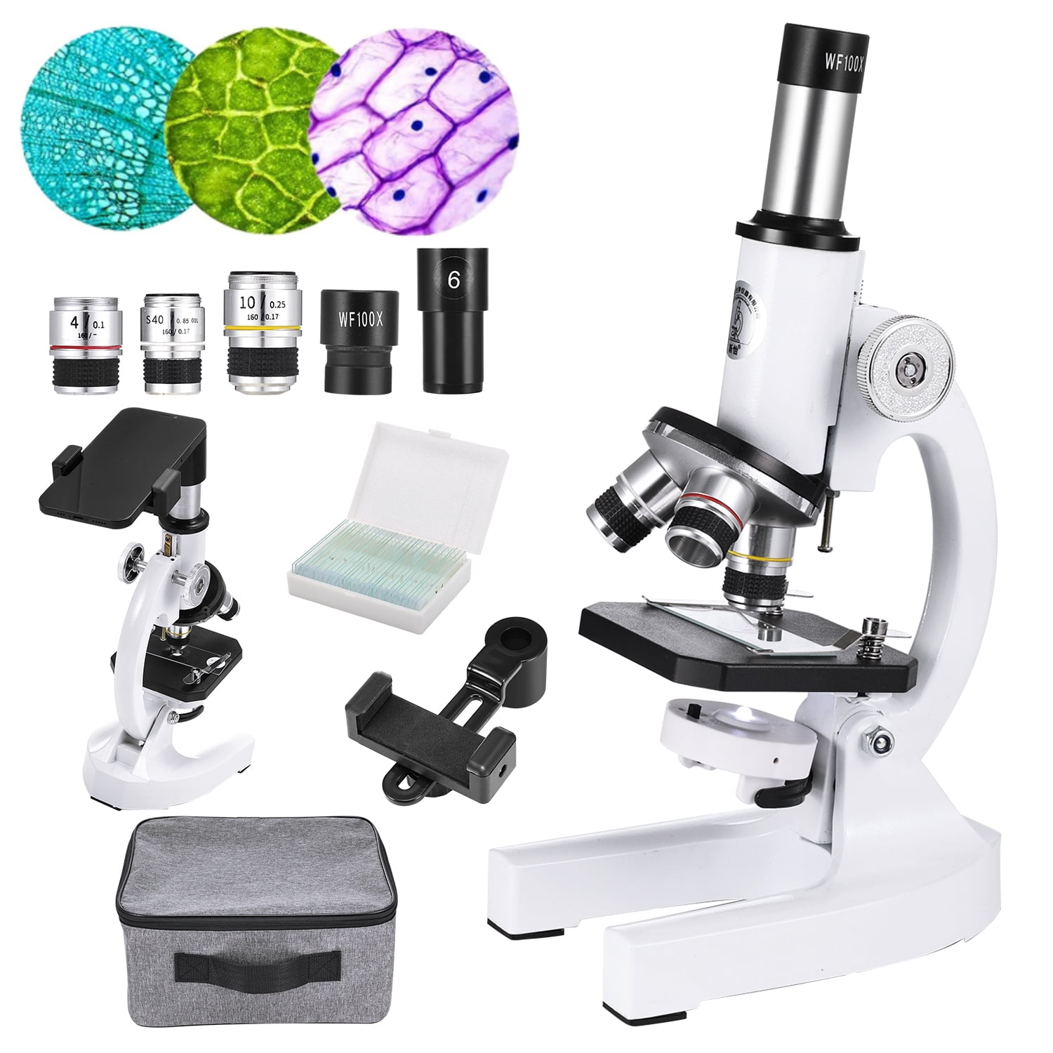 Kids Microscope Kit - Anpro Microscope for Kids 400X-24000X, Microscope ...