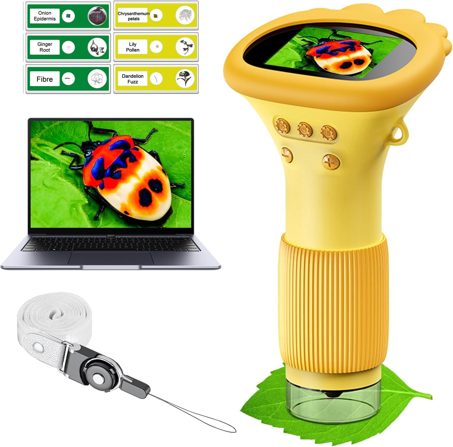 Kids Microscope Pocket Microscope -1000X Portable Microscope for Kid ...
