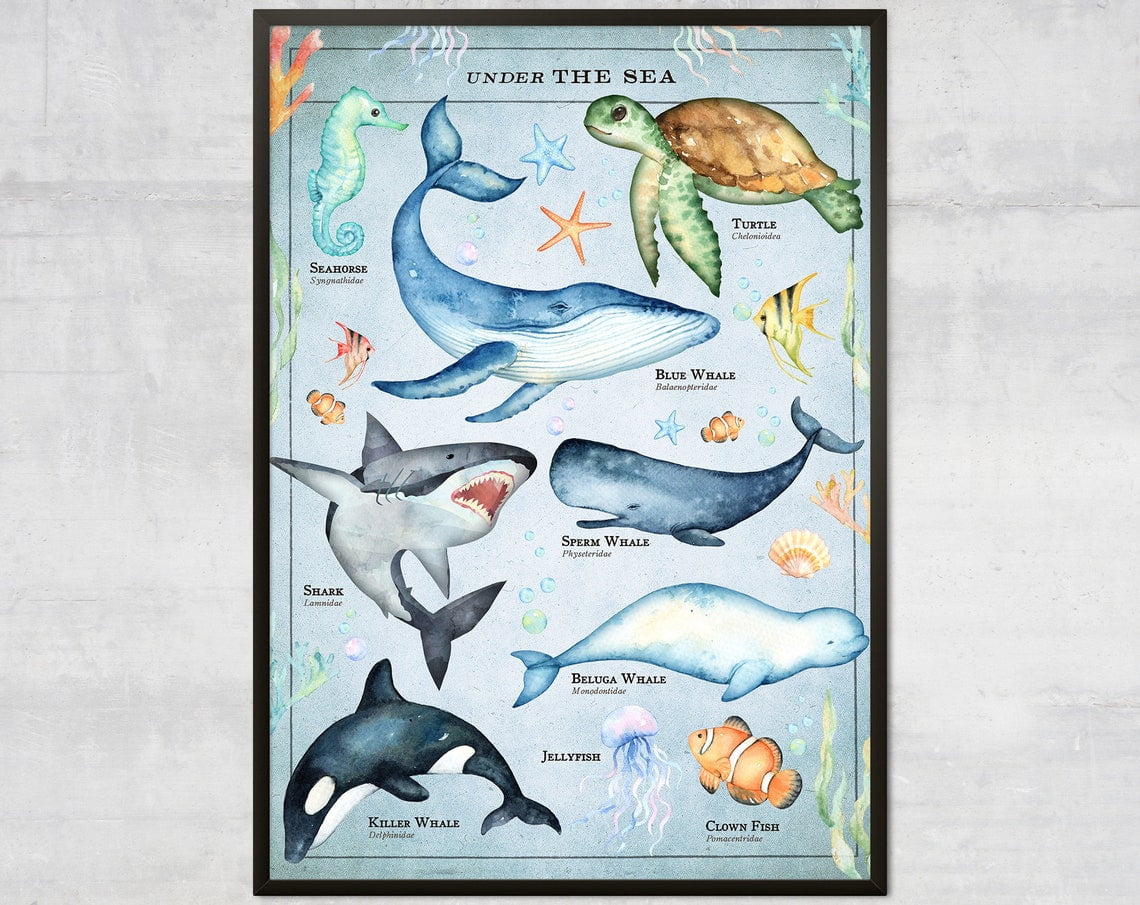 Kids Ocean Art Print, Under The Sea Print, Ocean Chart, Educational ...