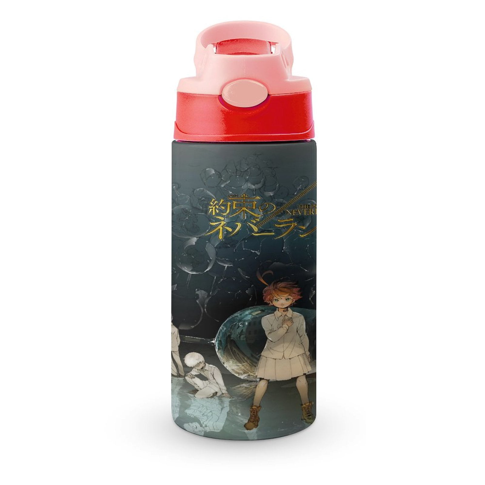 Kids Promised Never-Lan Water Bottle with Straw Lid Vacuum Insulated ...