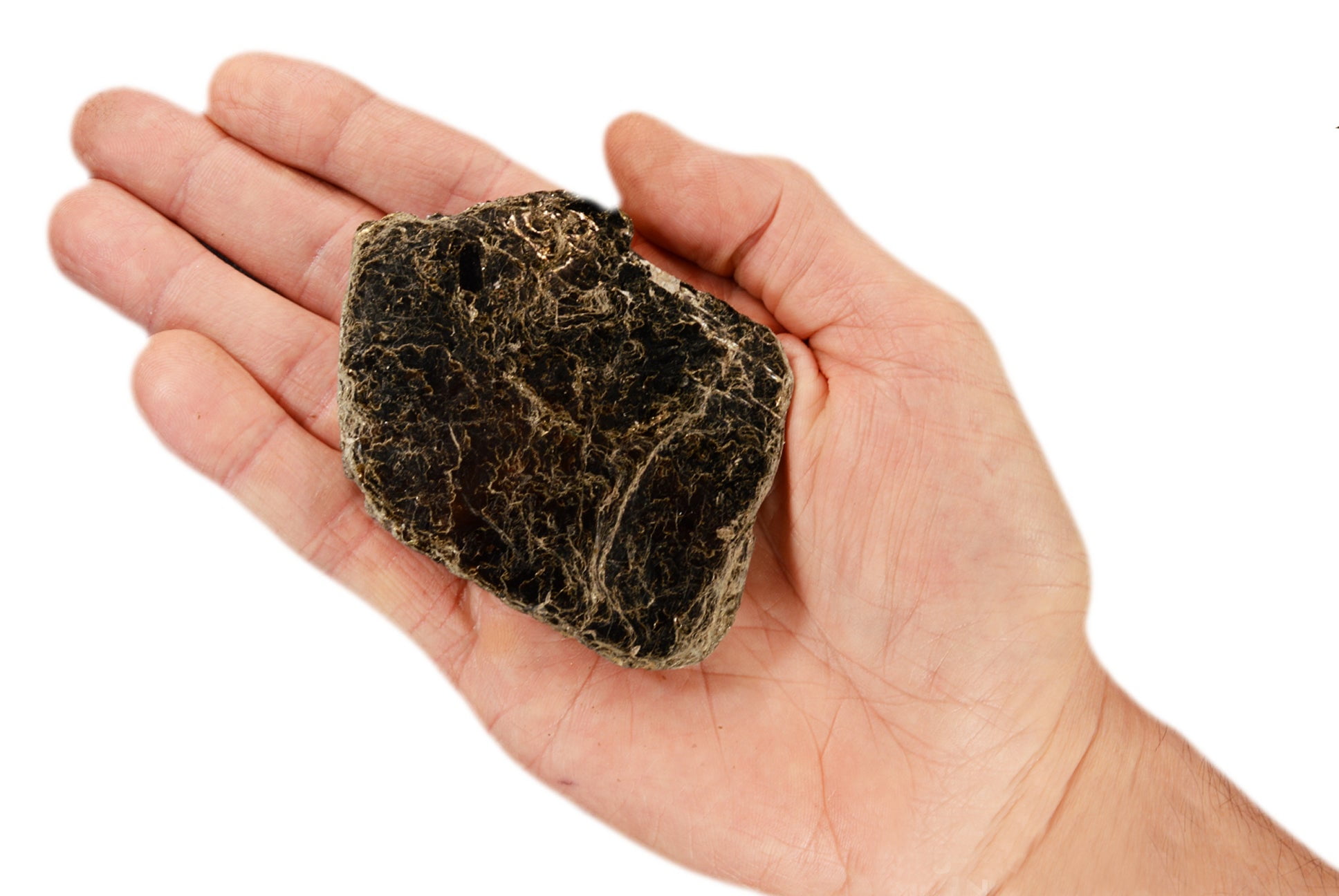 Kidz Rocks Biotite Book Mica 2 1/2" 2-4 oz Raw Chakra Healing Crystal Brown Rock Mineral ...