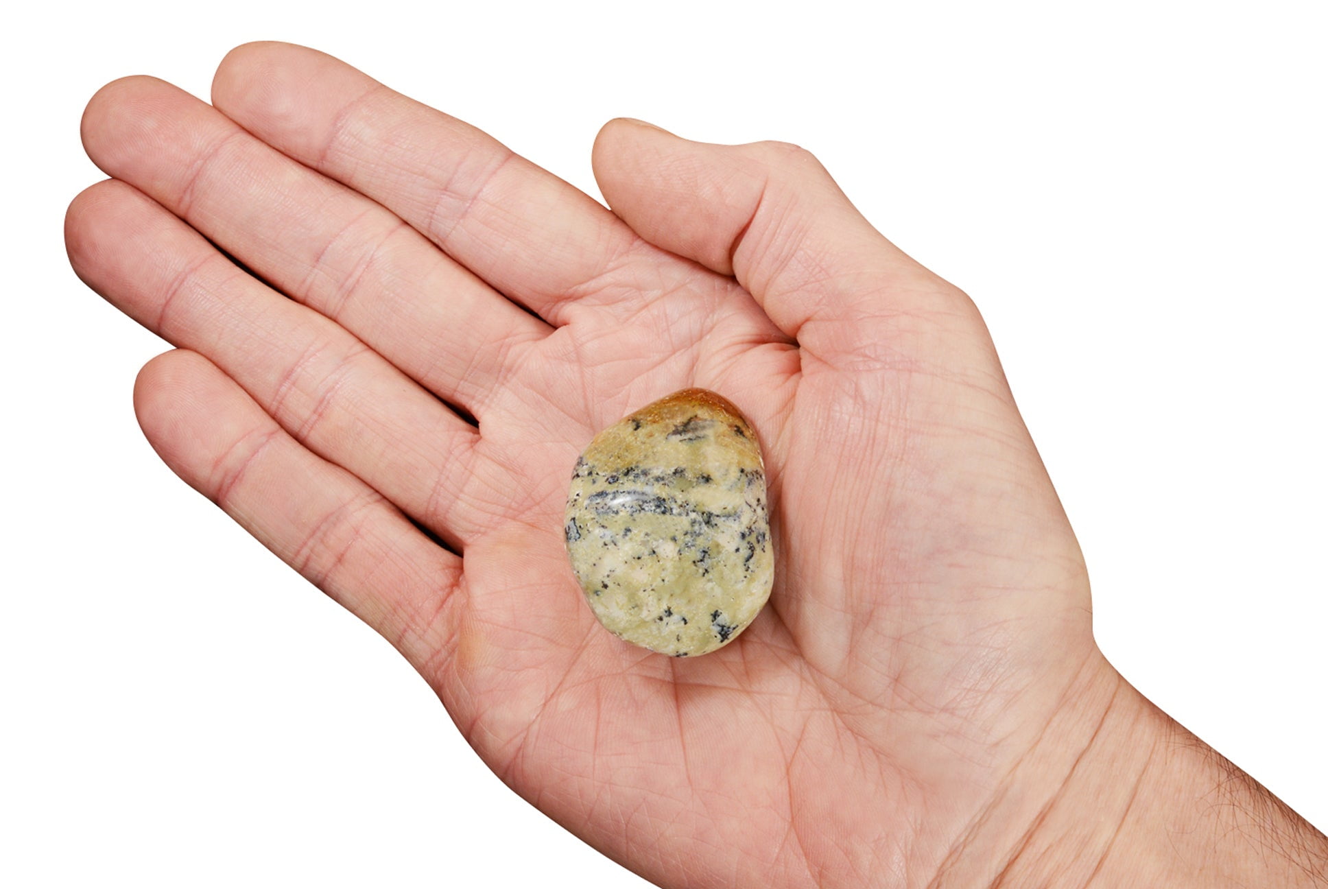 Kidz Rocks Dendrite Agate 2" Tumbled Healing Crystal Natural Stone Rock ...