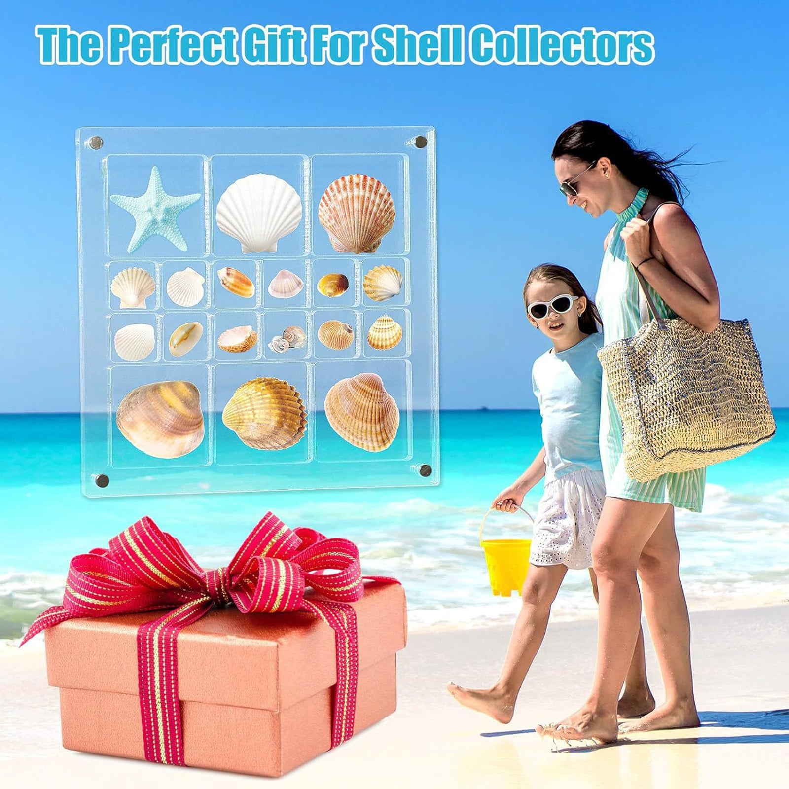 Kihbxv Desktop Dress Up Acrylic Seashell Display Box for Seashell ...