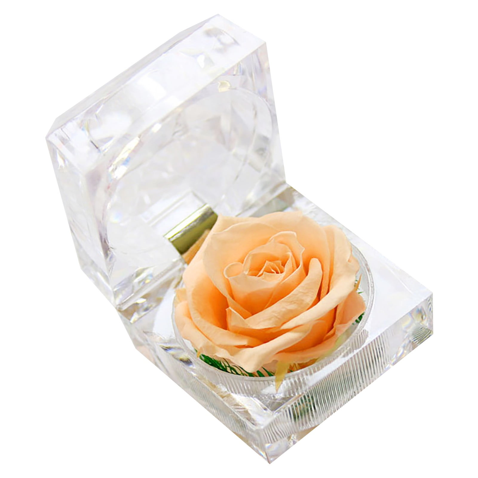 Kihbxv Small Fake Plants Clearance Engagement forever Roses Ring Box ...