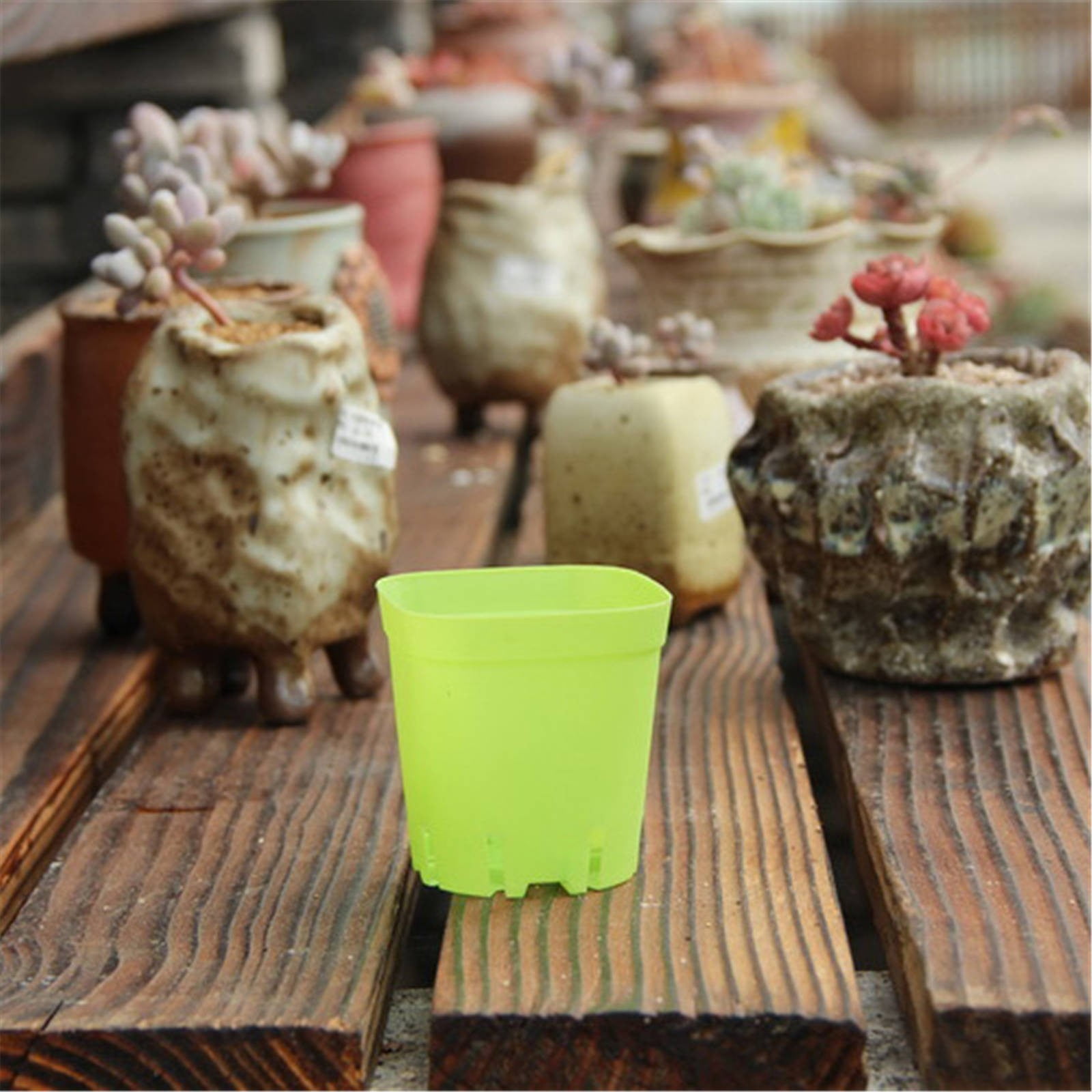Kihbxv Small Succulent Pots Multi Color Square Plastic Plant Pots ...