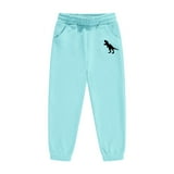 Kiijoy Big Boys Sweatpants Casual Joggers Dinosaur Print Jogger Pants ...