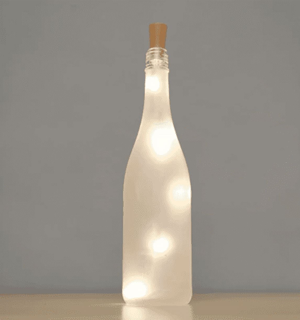 Kikkerland Bottle Top String Lights - Walmart.com