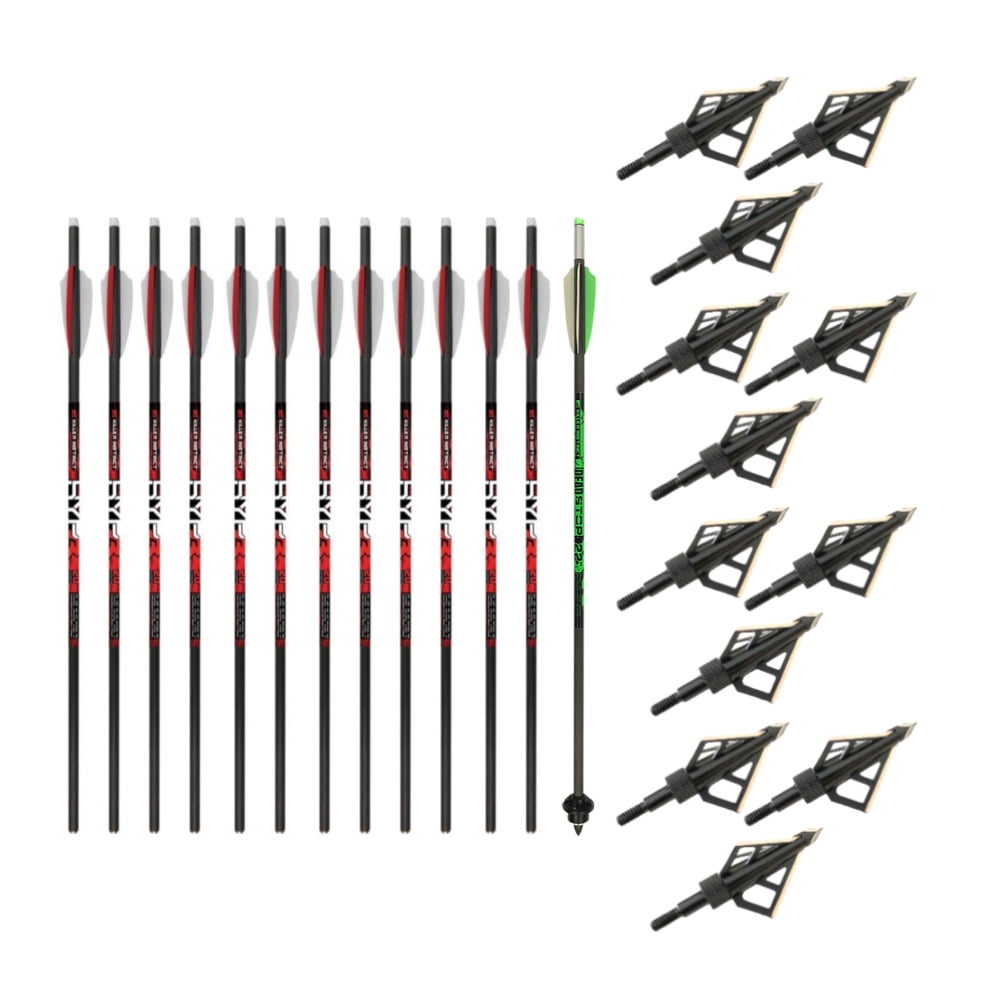 Killer Instinct Crossbows 20-in Bolts 12-Pack Kit w/ Broadheads ...