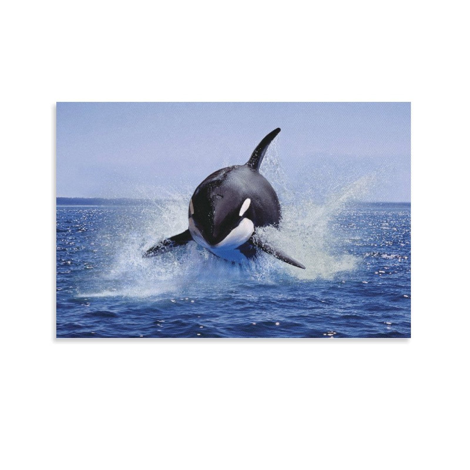 Killer Whale Jump Canvas Art Poster And Wall Art Picture Print Modern ...