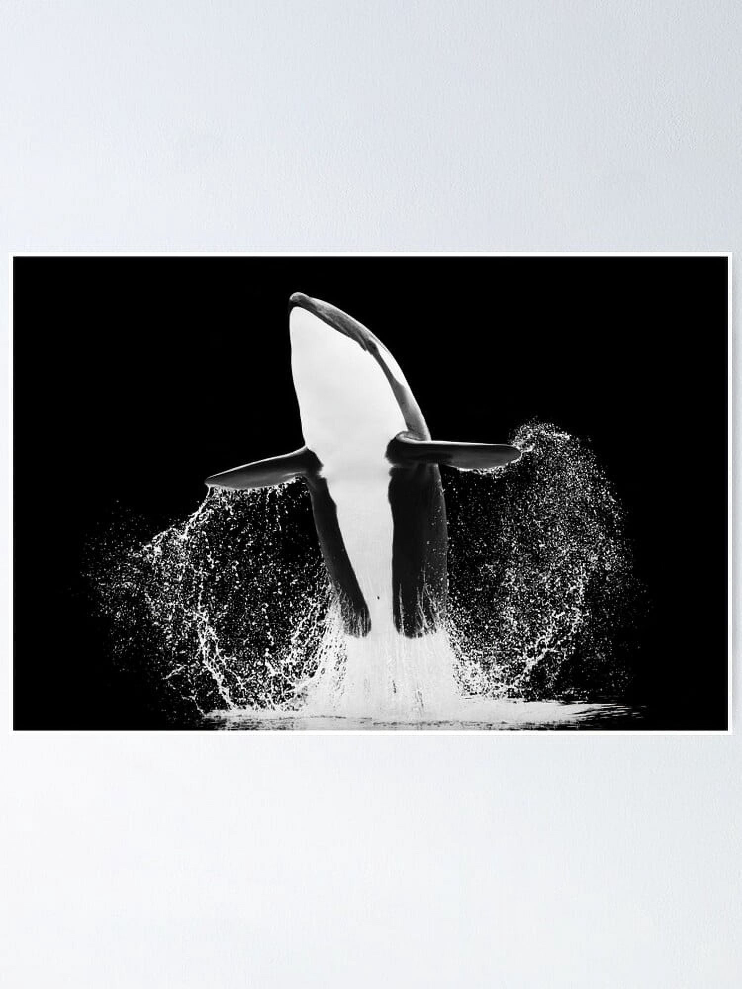 Killer Whale - Wings To Fly Modern Art Decor Unframe - Walmart.com