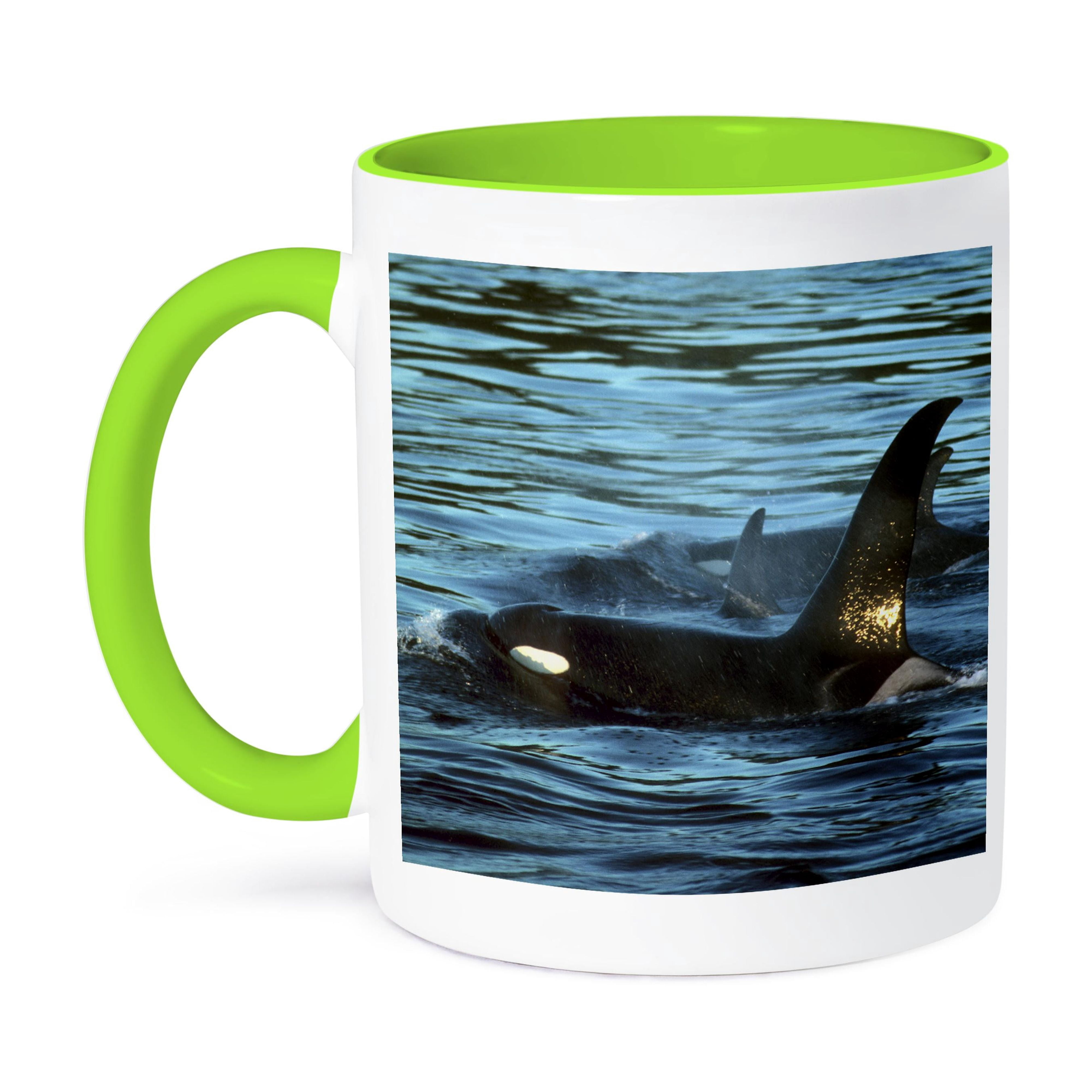 Killer Whales Or Orca, San Juan Islands, Washington - Us48 Ksc0024 ...