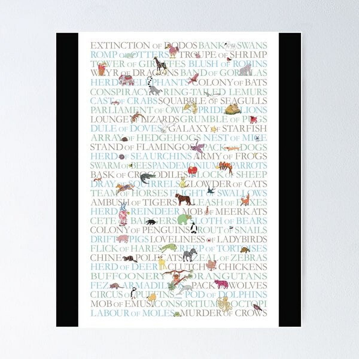 Kiloa Animal Collective Nouns Educational Poster, 24x36 UNFRAMED ...