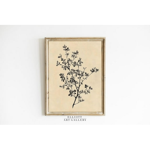 Kiloa Vintage Botanical Sketch Antique Wall Art Poster Neutral ...