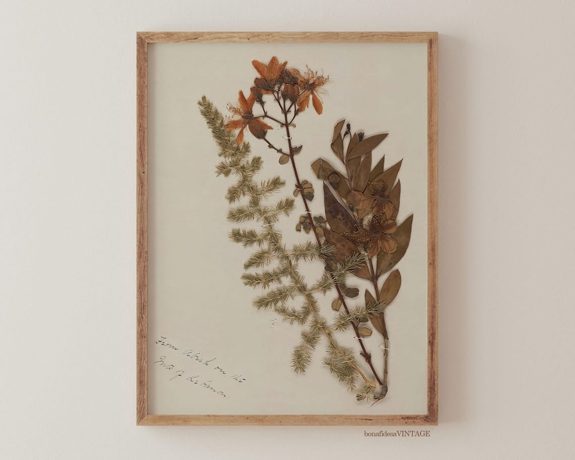 Kiloa Vintage Herbarium Antique Botanical Dried Flowers Wall Art Poster ...