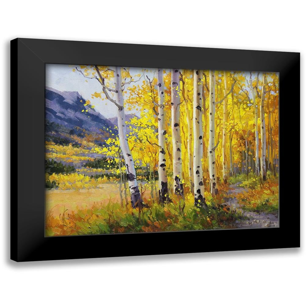 Kim, Gary 14x12 Black Modern Framed Museum Art Print Titled - Trail ...