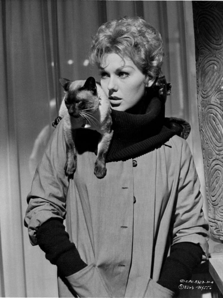 Kim Novak Posed in Formal Outfit With Cat Photo Print (24 x 30 ...