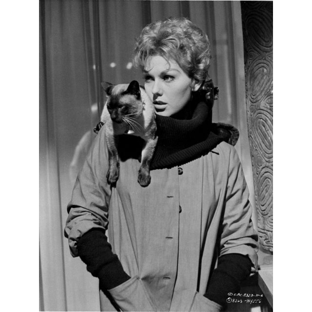 Kim Novak Posed in Formal Outfit With Cat Photo Print (24 x 30 ...
