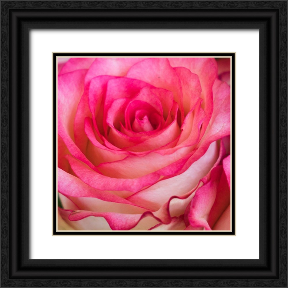 Kimberly, Allen 12x12 Black Ornate Wood Framed with Double Matting ...