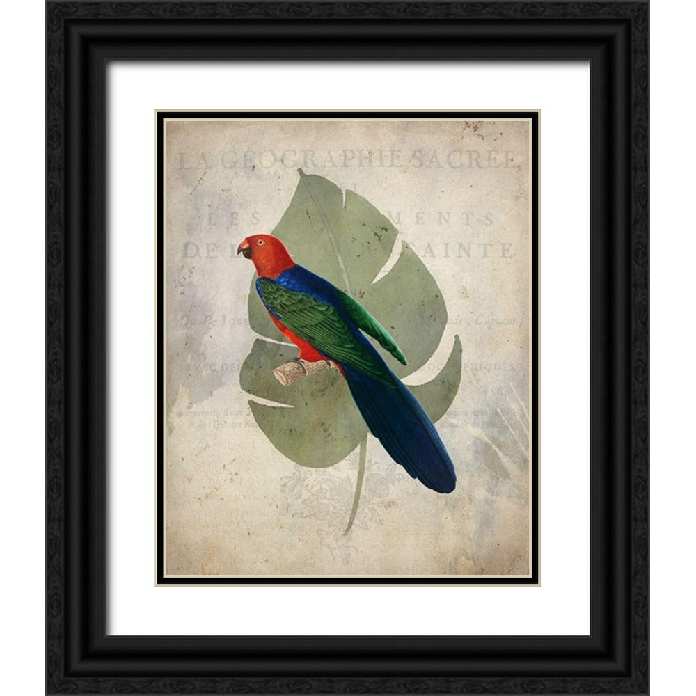 Kimberly, Allen 12x14 Black Ornate Wood Framed with Double Matting ...